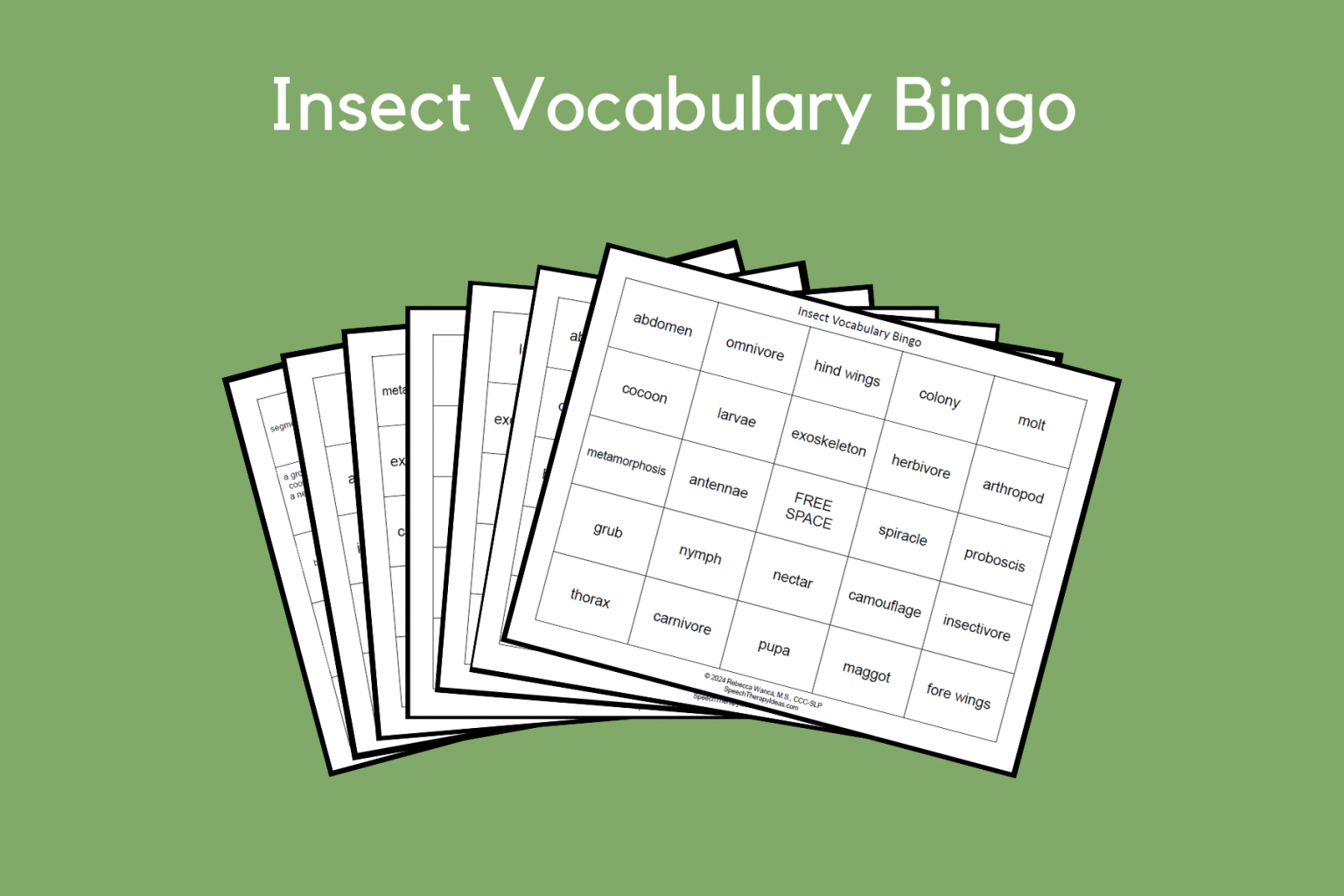 Insect Vocabulary Bingo | Speech Therapy Ideas