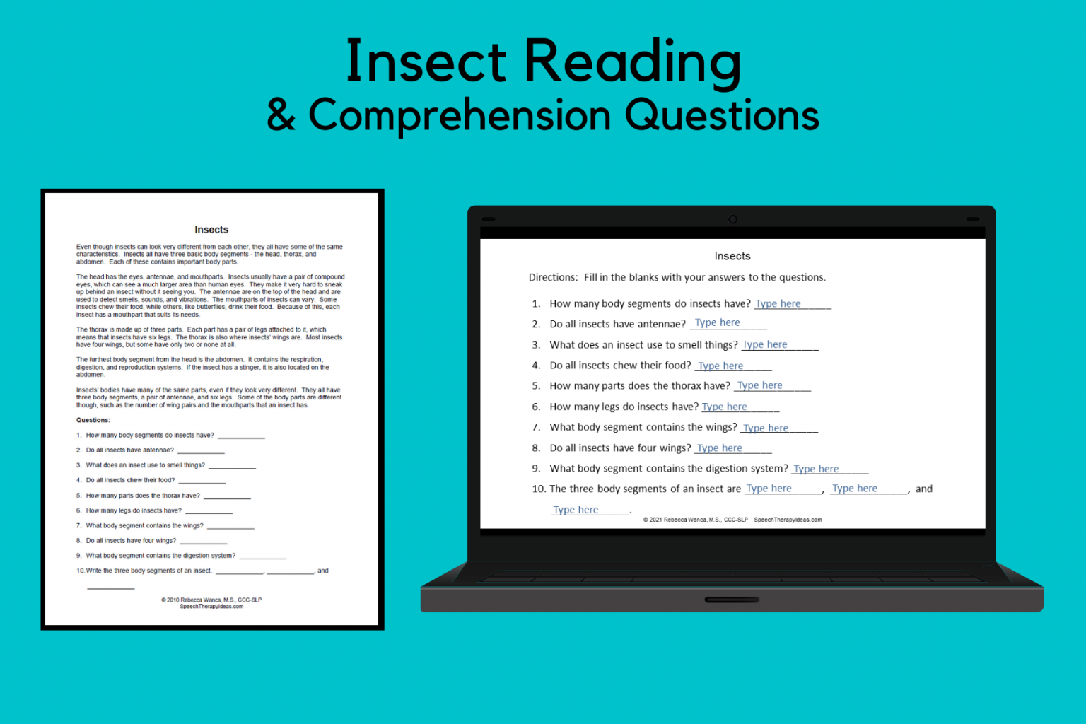 Insect Reading Sample and Comprehension Questions | Speech Therapy Ideas