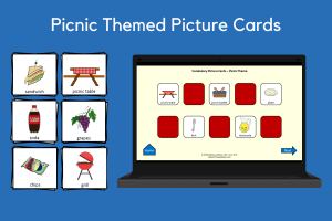 Picnic Themed Picture Cards | Speech Therapy Ideas