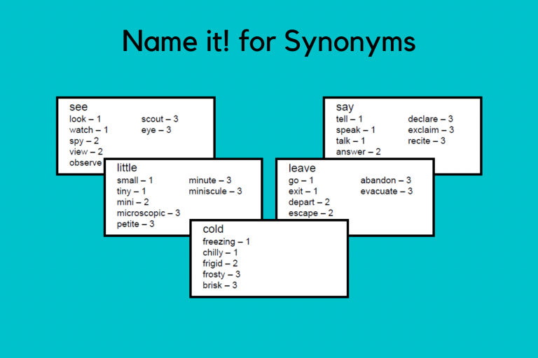 Name It! for Synonyms | Speech Therapy Ideas