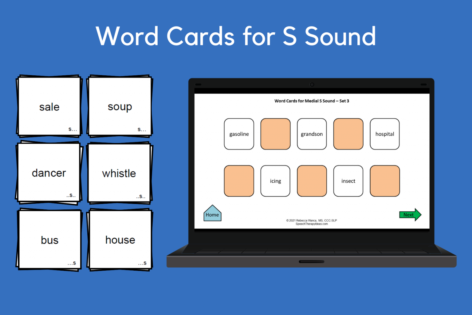 Word Cards for S Sound | Speech Therapy Ideas