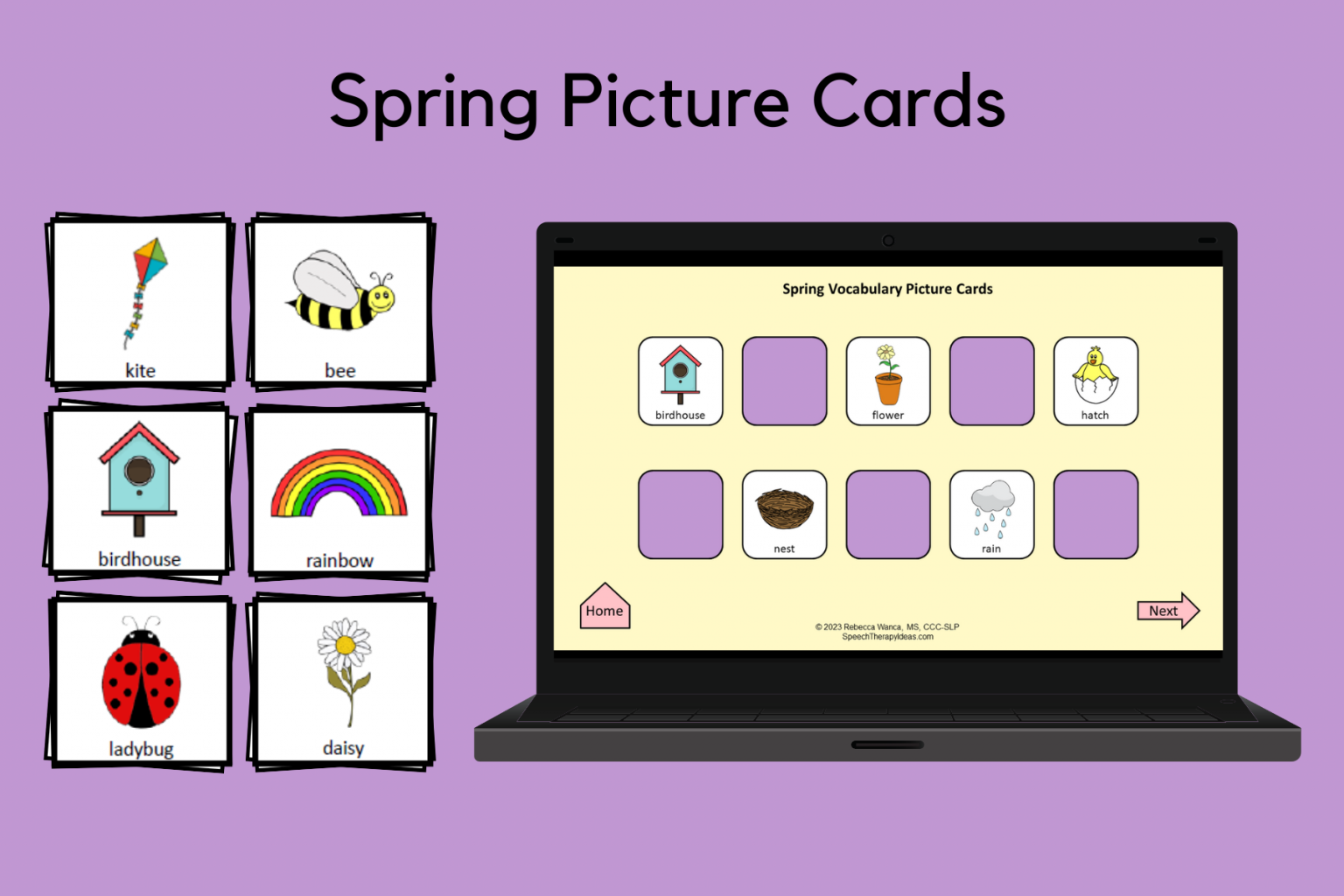 Spring Picture Cards | Speech Therapy Ideas