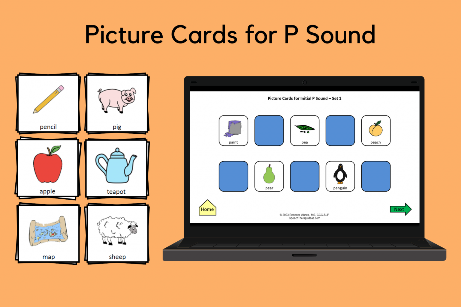 Picture Cards for P Sound | Speech Therapy Ideas