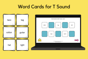 Word Cards for T Sound | Speech Therapy Ideas